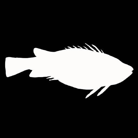 Bininj Kunwok Online Phrasebook